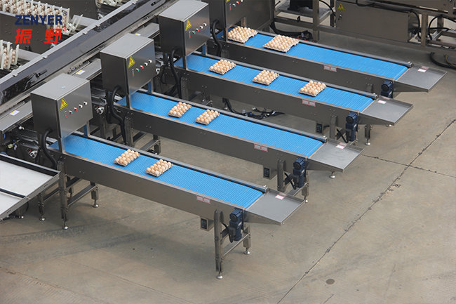 ZYF-HDS6-4Z egg grader (109)