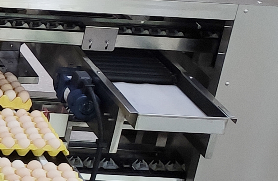 ZENYER FBD170 egg farm packer (714A)